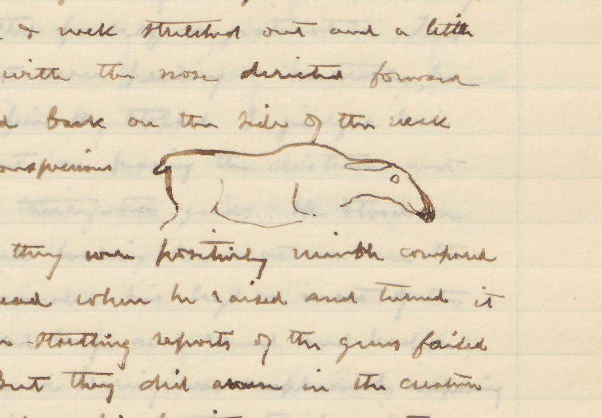 Notes from William Brewster: Moose! | Ernst Mayr Library